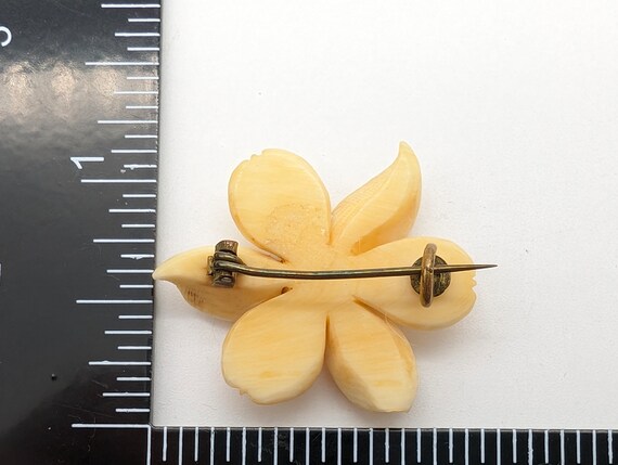 Antiqued Carved Celluloid Daffodil Flower Brooch - Gem