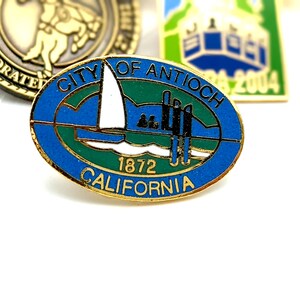 Large Lot of Enameled California Lapel Pins; Various Cities - Etsy