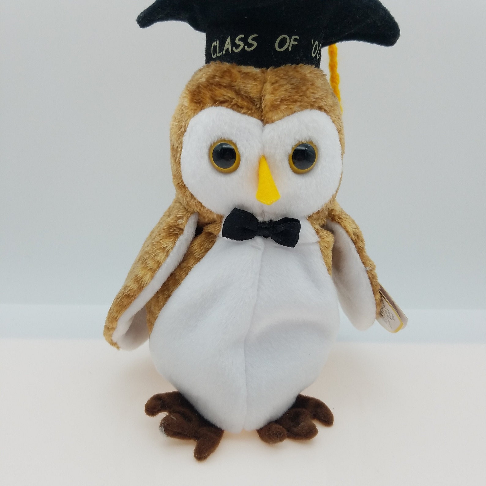 Ty Beanie Baby Wisest the Owl Class of '00 Graduation | Etsy