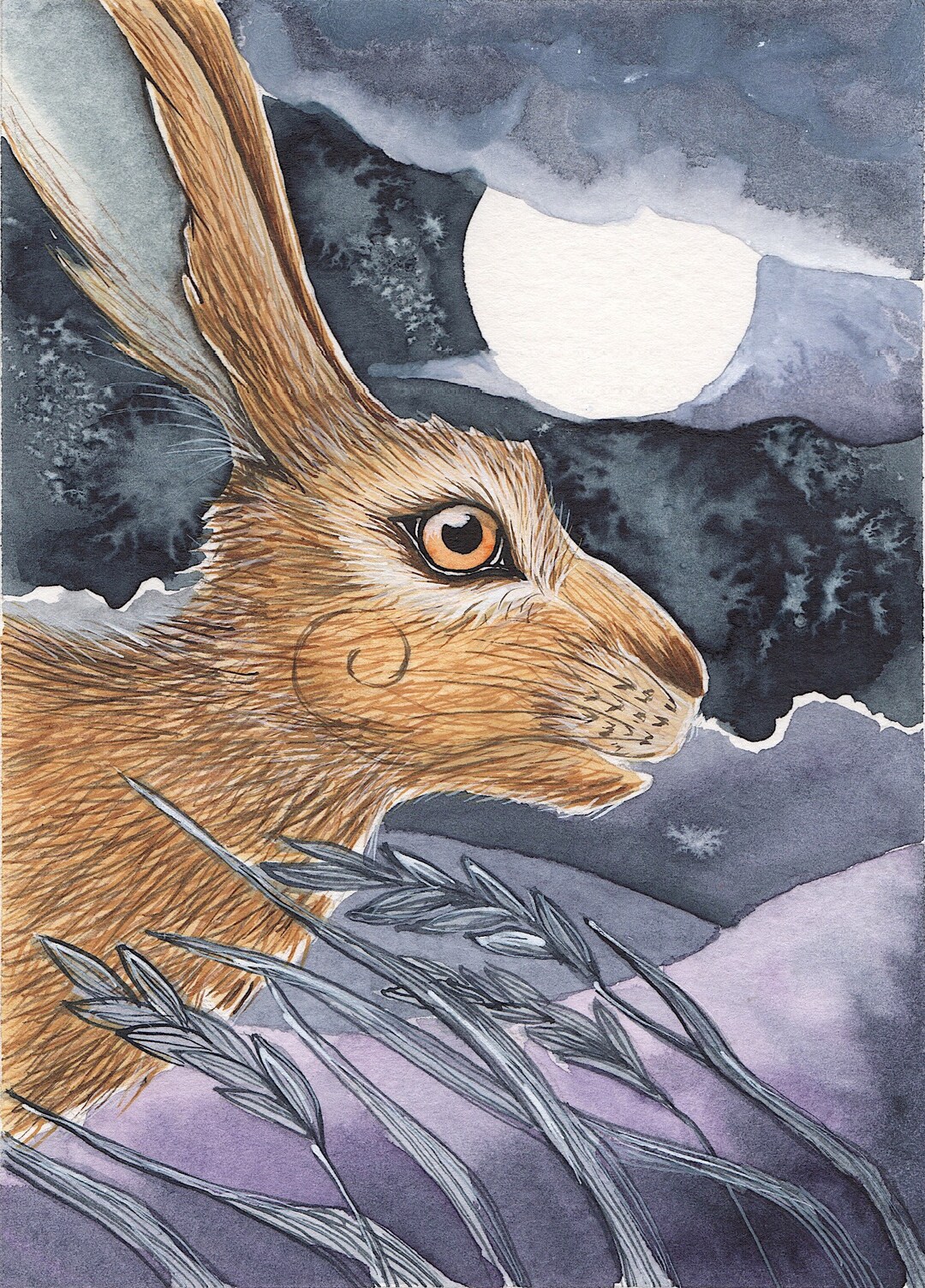 Hare Art Print 'truth' From the Arboridium Oracle A3/4 Signed Archival ...