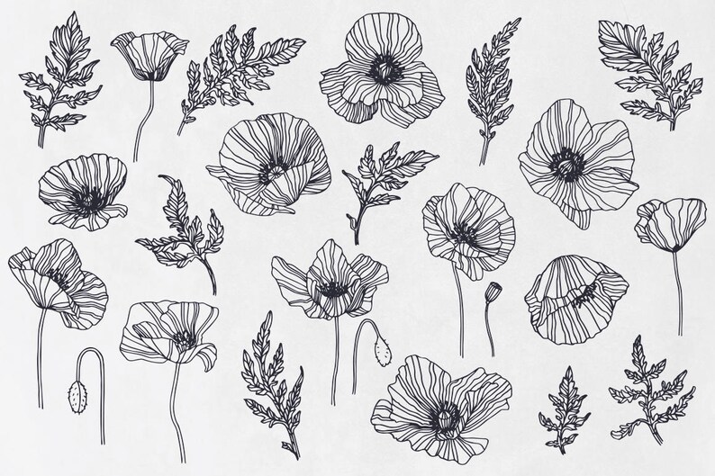 Poppy Lines Flower Clipart Floral Graphic Instant - Etsy
