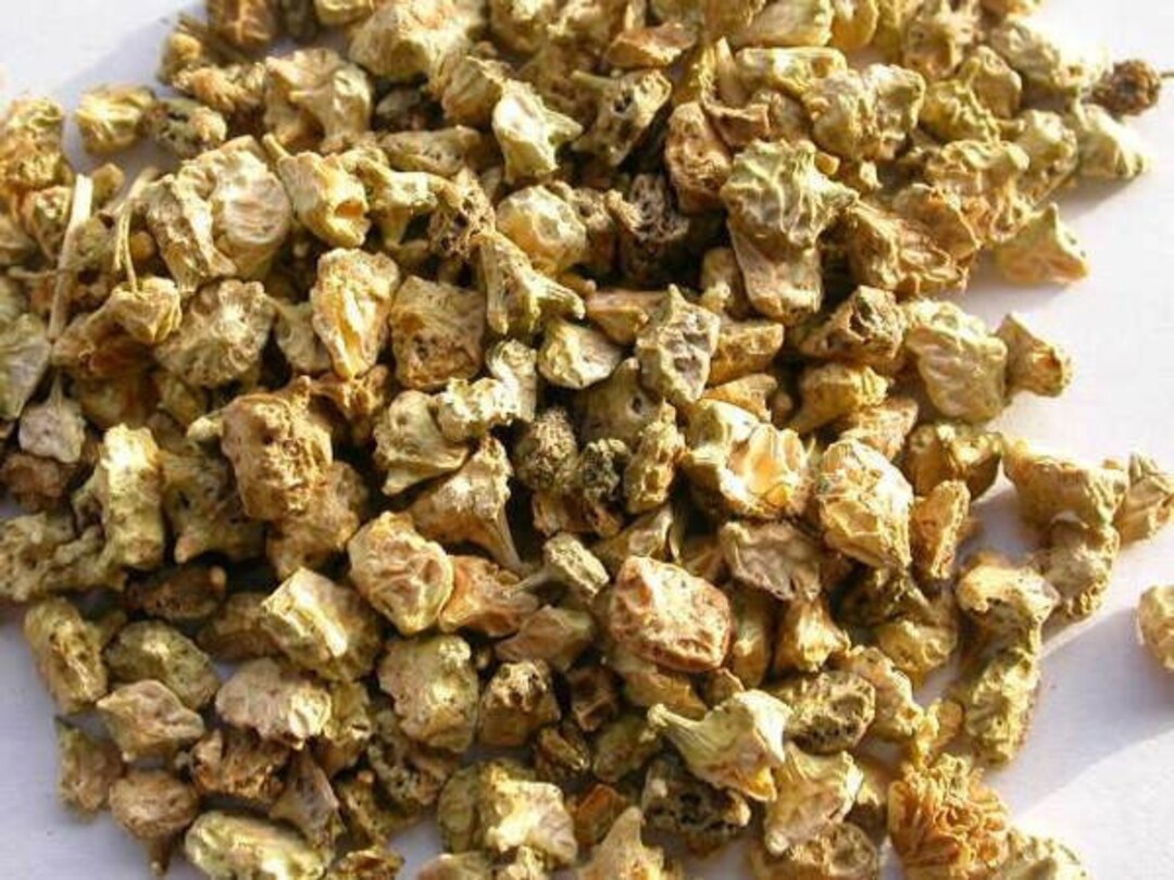 Gokshura WHOLE Organic Gokhru Whole Tribulus Terrestris Indian Herb ...