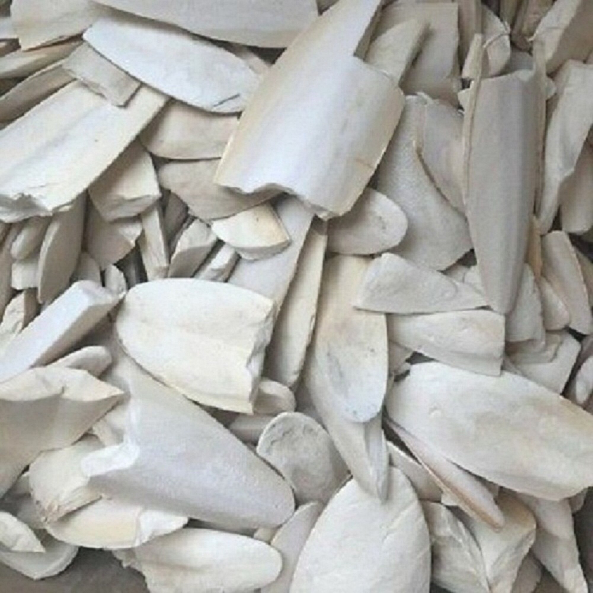 Samudri Jhaag Samunder Fen Sepiae Os WHOLE - Etsy