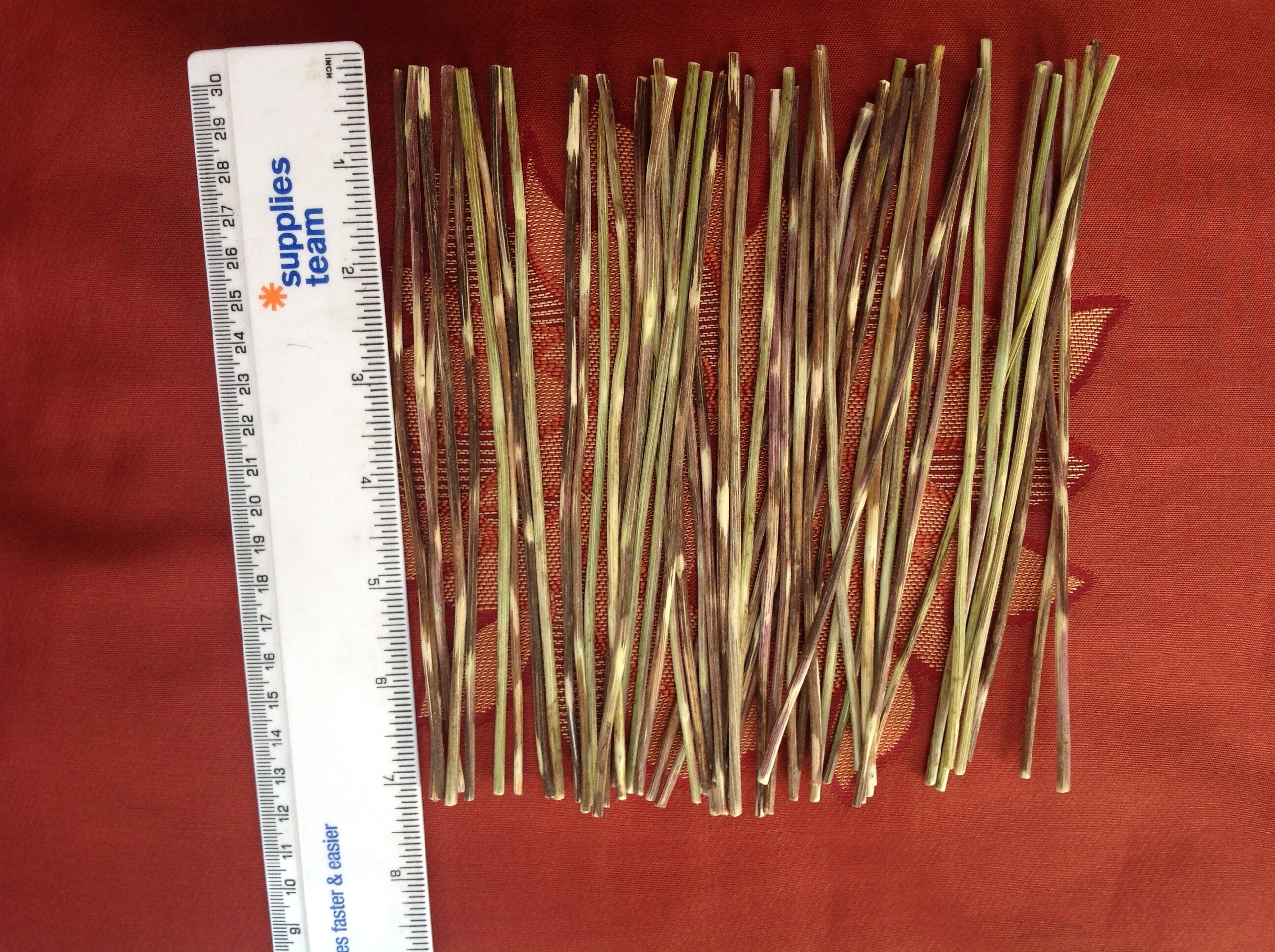 Yarrow Stalks 7 I Ching Chinese Oracle Achillea Achillée | Etsy