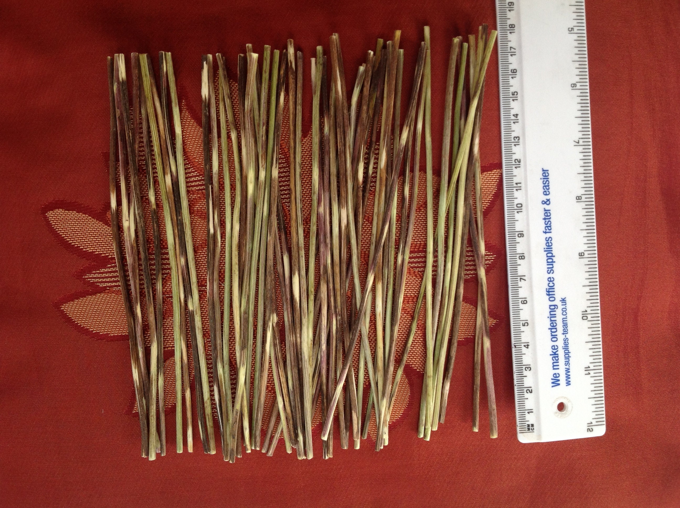 Yarrow Stalks 7 I Ching Chinese Oracle Achillea Achillée | Etsy