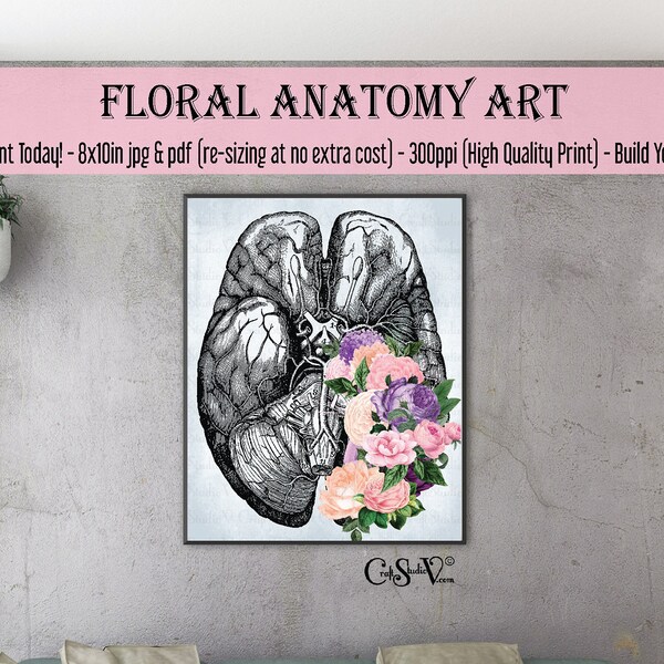 Speech Anatomy Art - Etsy