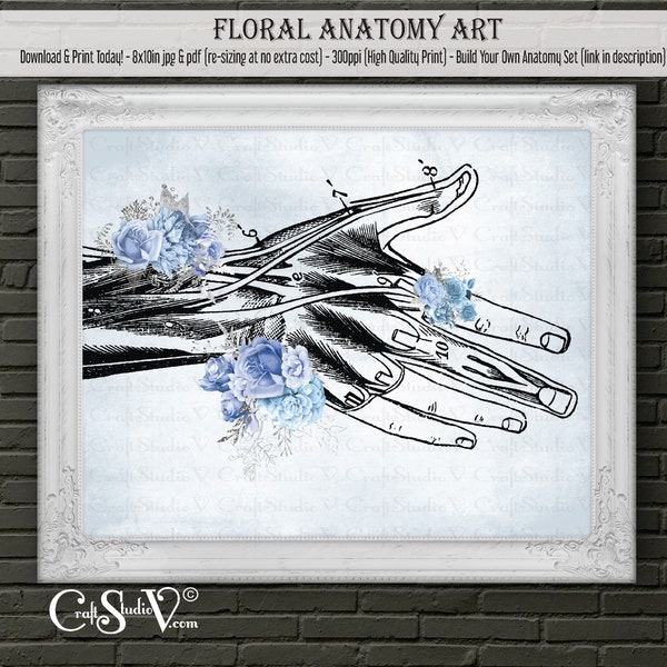 Physical Therapy Anatomy Poster - Etsy