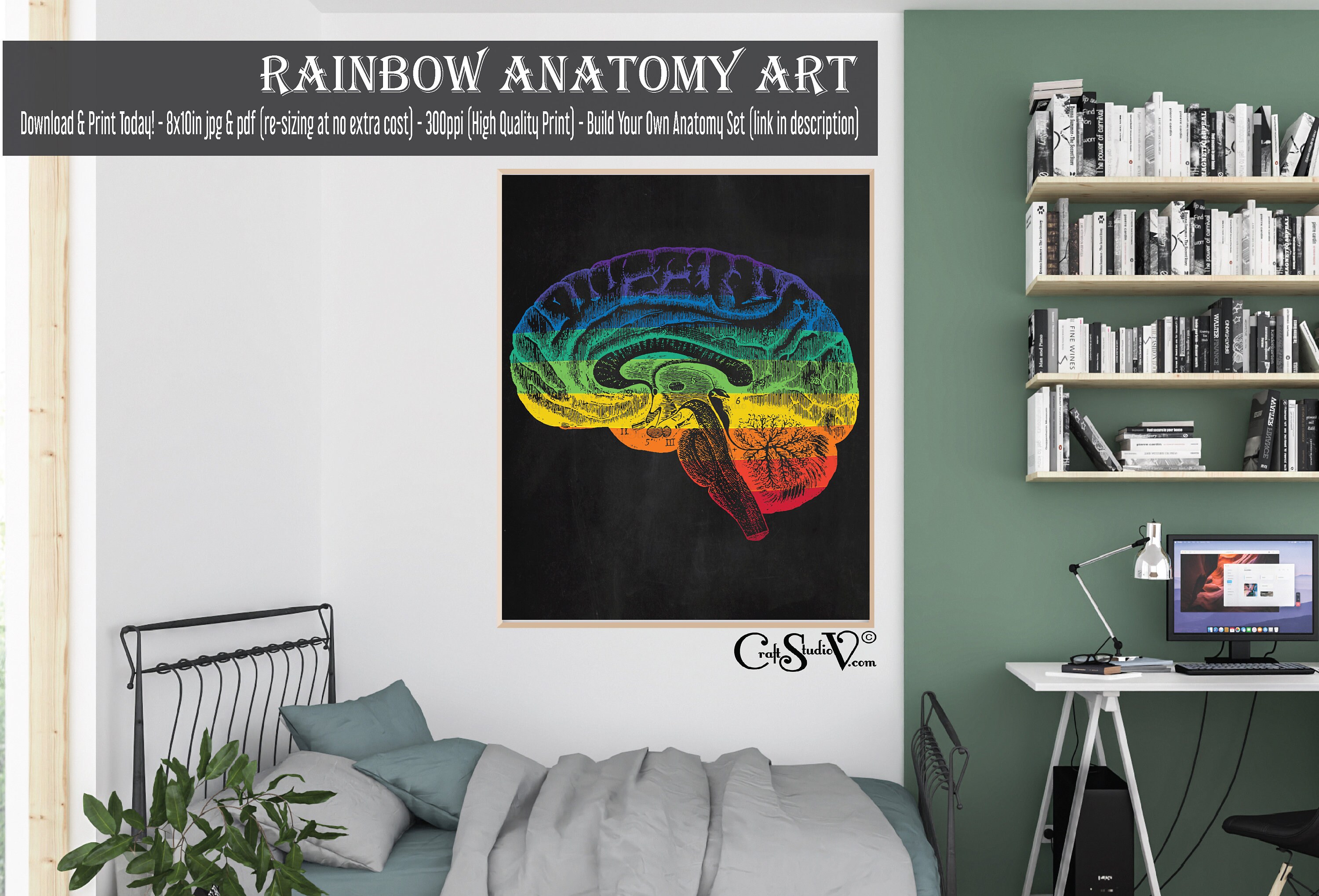 Brain Anatomy Printable Wall Art Rainbow Anatomy Art Poster - Etsy UK