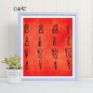 Dentist Gift for Him Office Decor Wall Art Prints, Anatomy Art Poster ...