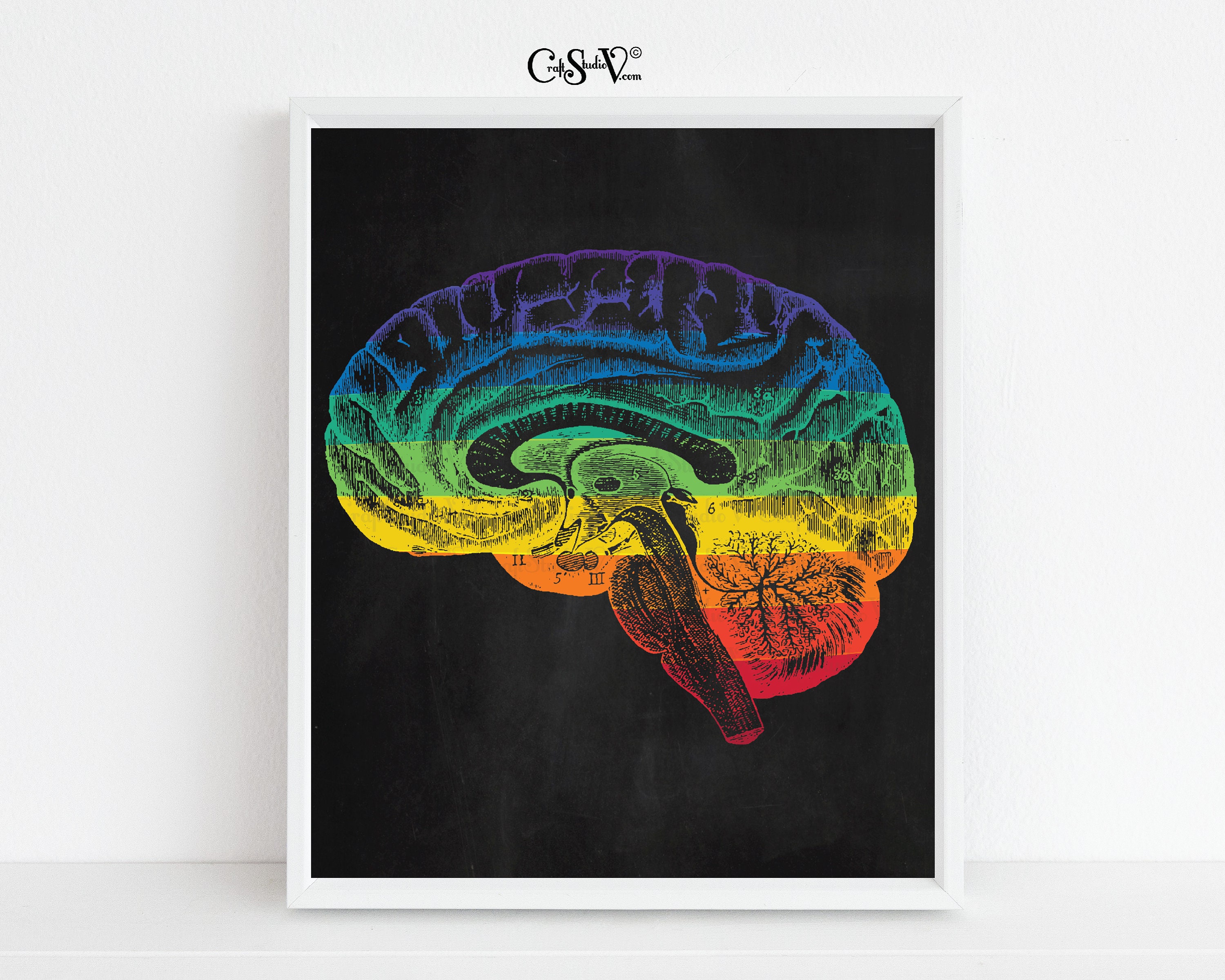 Brain Anatomy Printable Wall Art Rainbow Anatomy Art Poster - Etsy UK