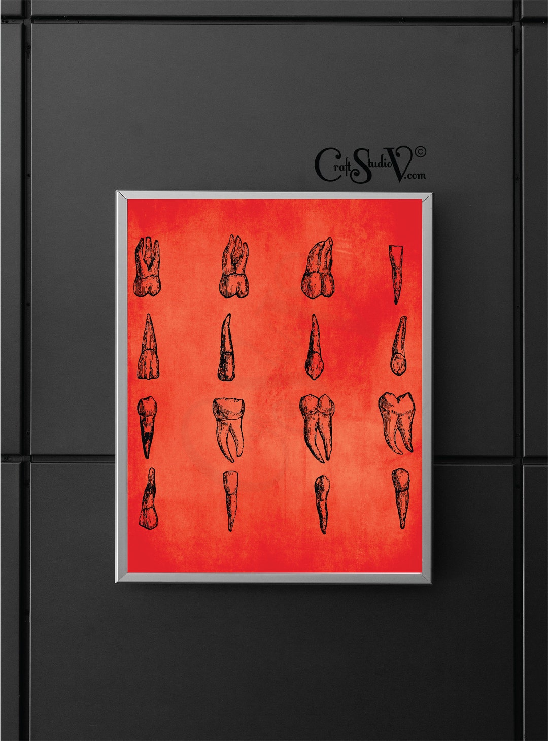 Dentist Gift for Him Office Decor Wall Art Prints, Anatomy Art Poster ...