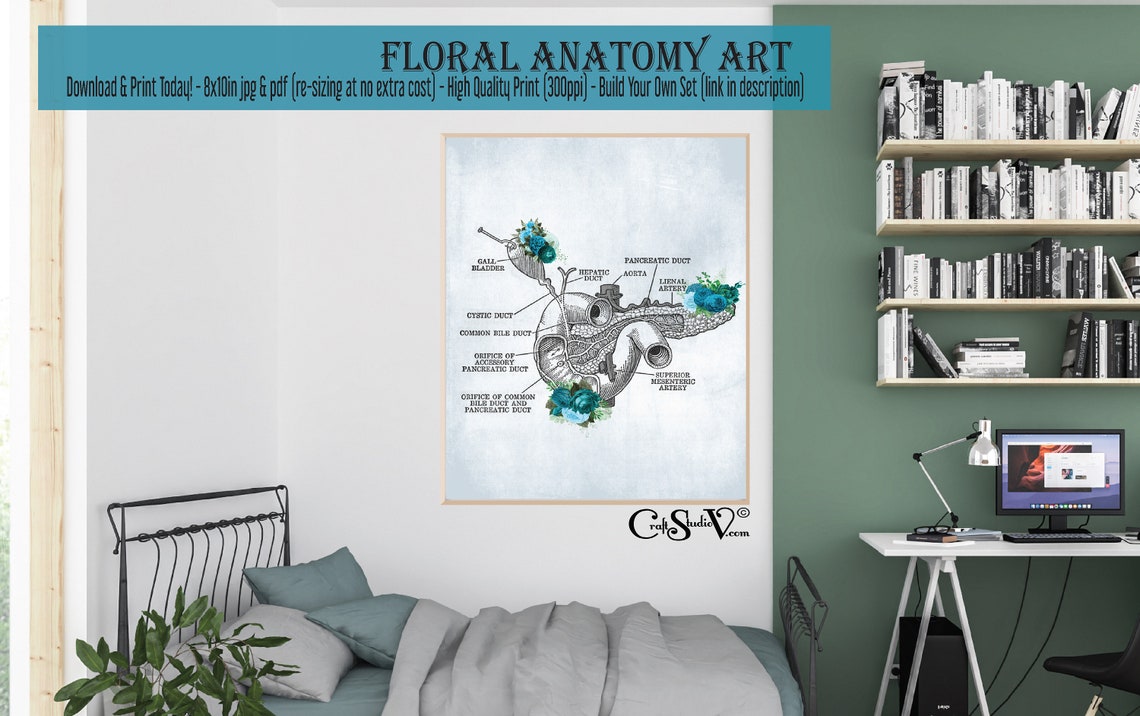 Pancreas Gallbladder Anatomy Art Floral Decor Pancreatic | Etsy