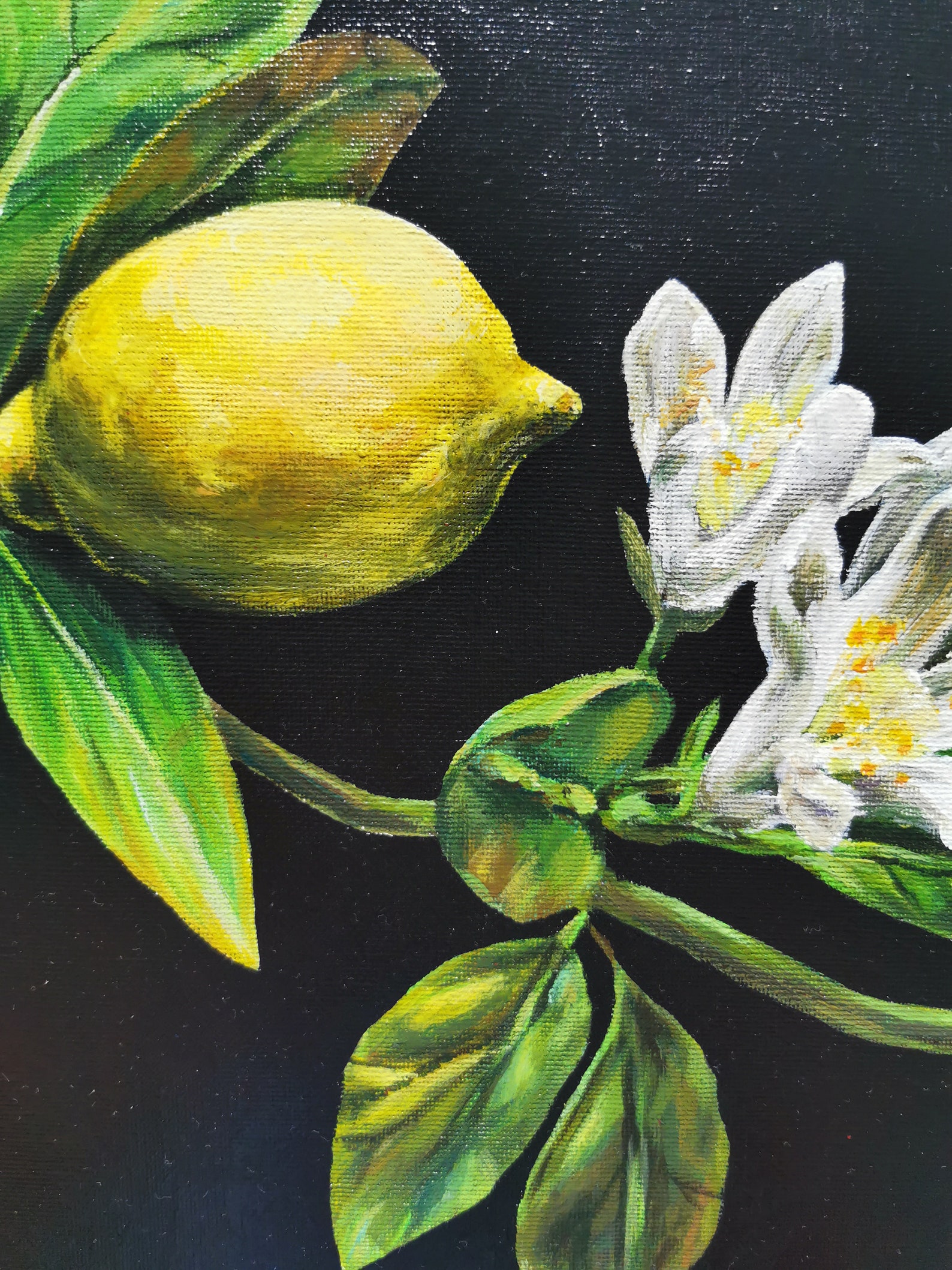 Original Lemon Tree Painting Black Background Realistic | Etsy