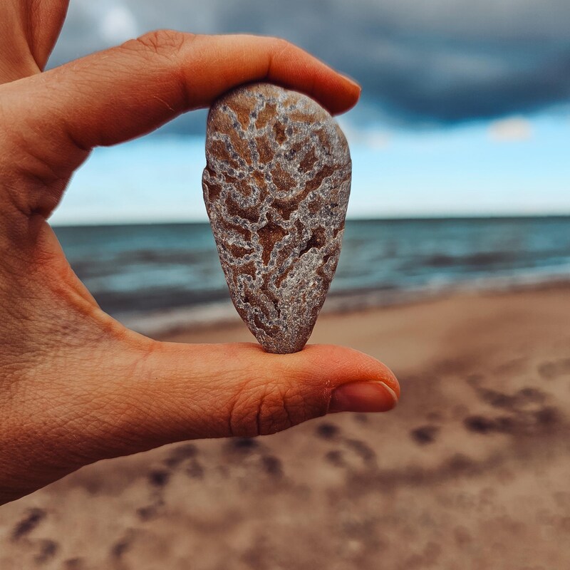 Fossil Stone - Etsy