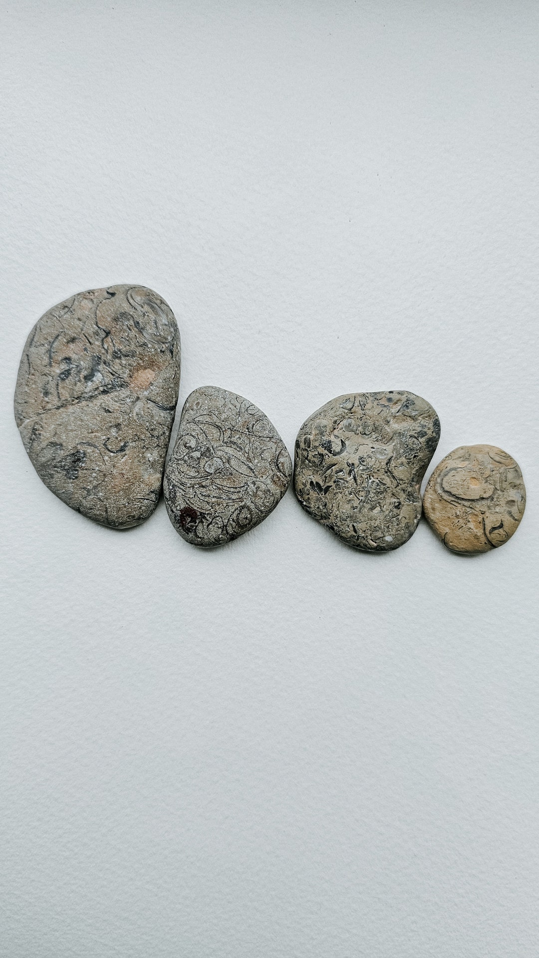 4 Unique Fossil Sea Stones With Natural Imprints Baltic Beach Treasures ...