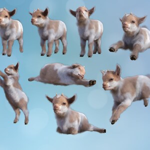 24 Little Goat's PNG Overlays Goat Overlays Goat - Etsy