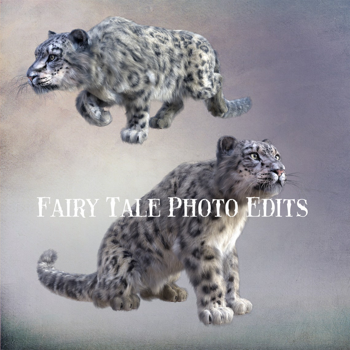 Snow Leopard Overlays Snow Leopard Png's Snow Leopard - Etsy