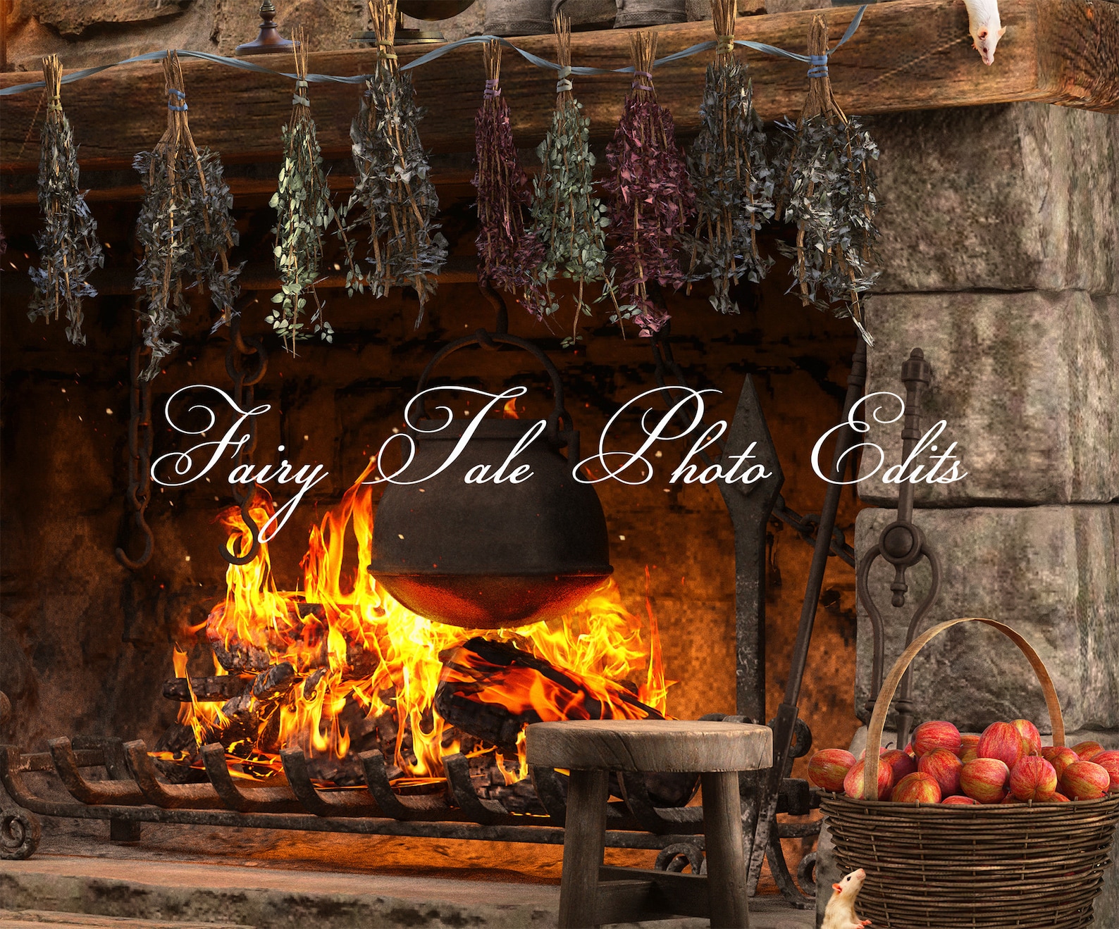 Cinderella's Cottage Kitchen Digital Backdrop Cinderella - Etsy