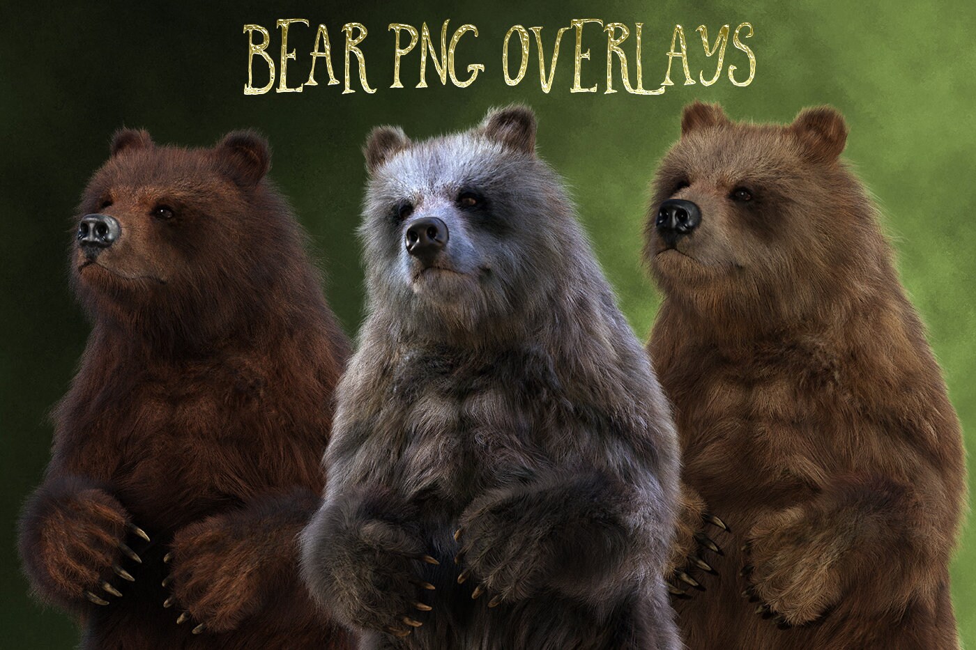 Photography and More Big Bears Overlay Photoshop Overlays for ...