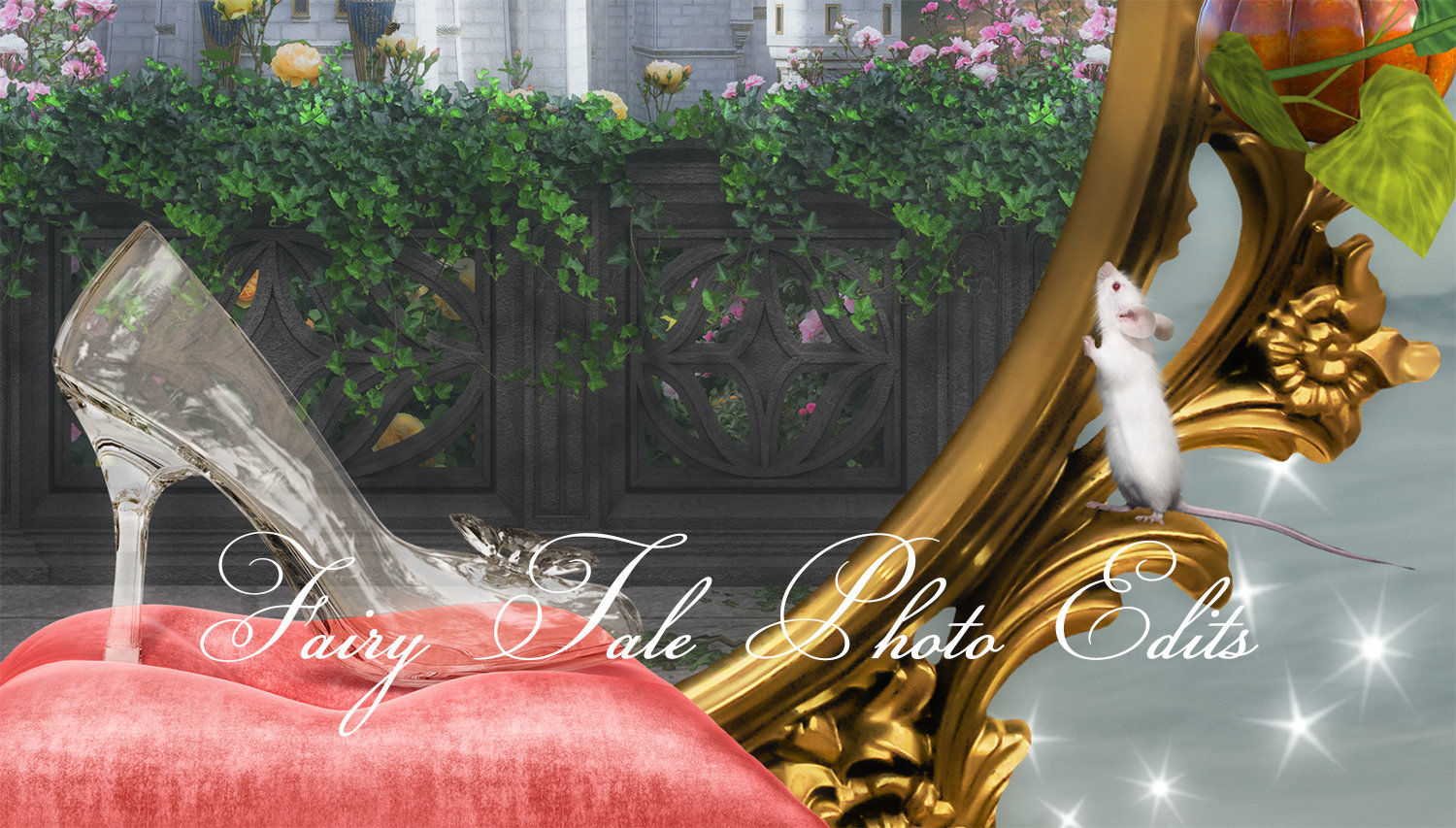 Cinderella Frame Digital Backdrop With Frame Overlay - Etsy UK