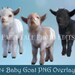 24 Little Goat's PNG Overlays, Goat Overlays, Goat Png's, Goat Clip Art ...