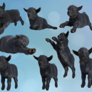 24 Little Goat's PNG Overlays Goat Overlays Goat - Etsy