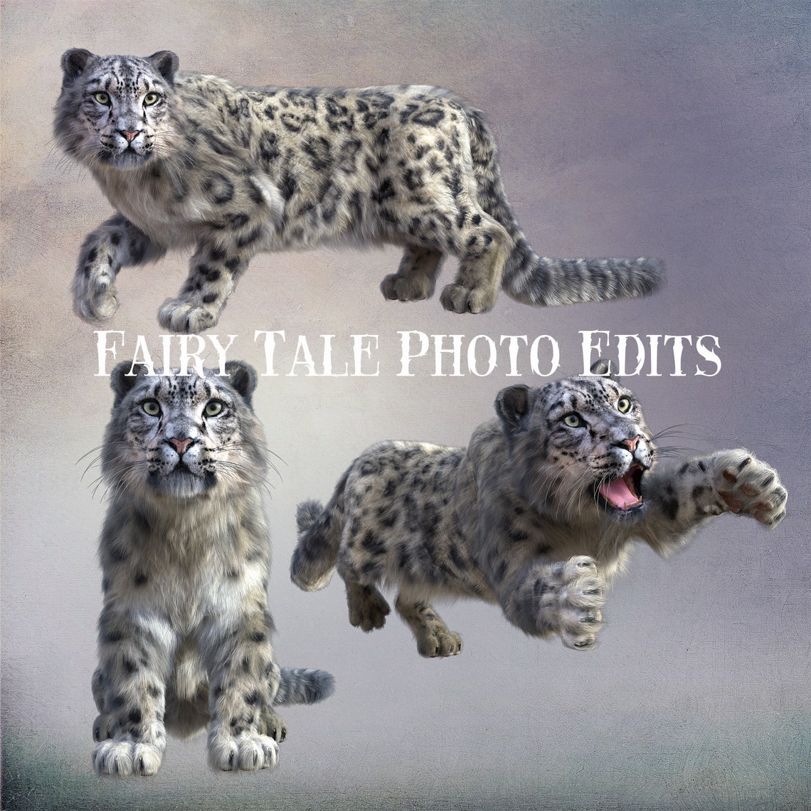Snow Leopard Overlays Snow Leopard Png's Snow Leopard - Etsy