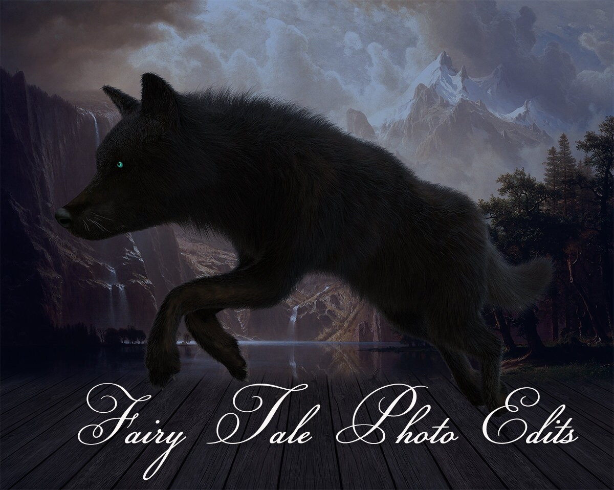 Wolves Digital Overlays/clip Art Wolf Overlay Wolf Clip Art | Etsy Canada