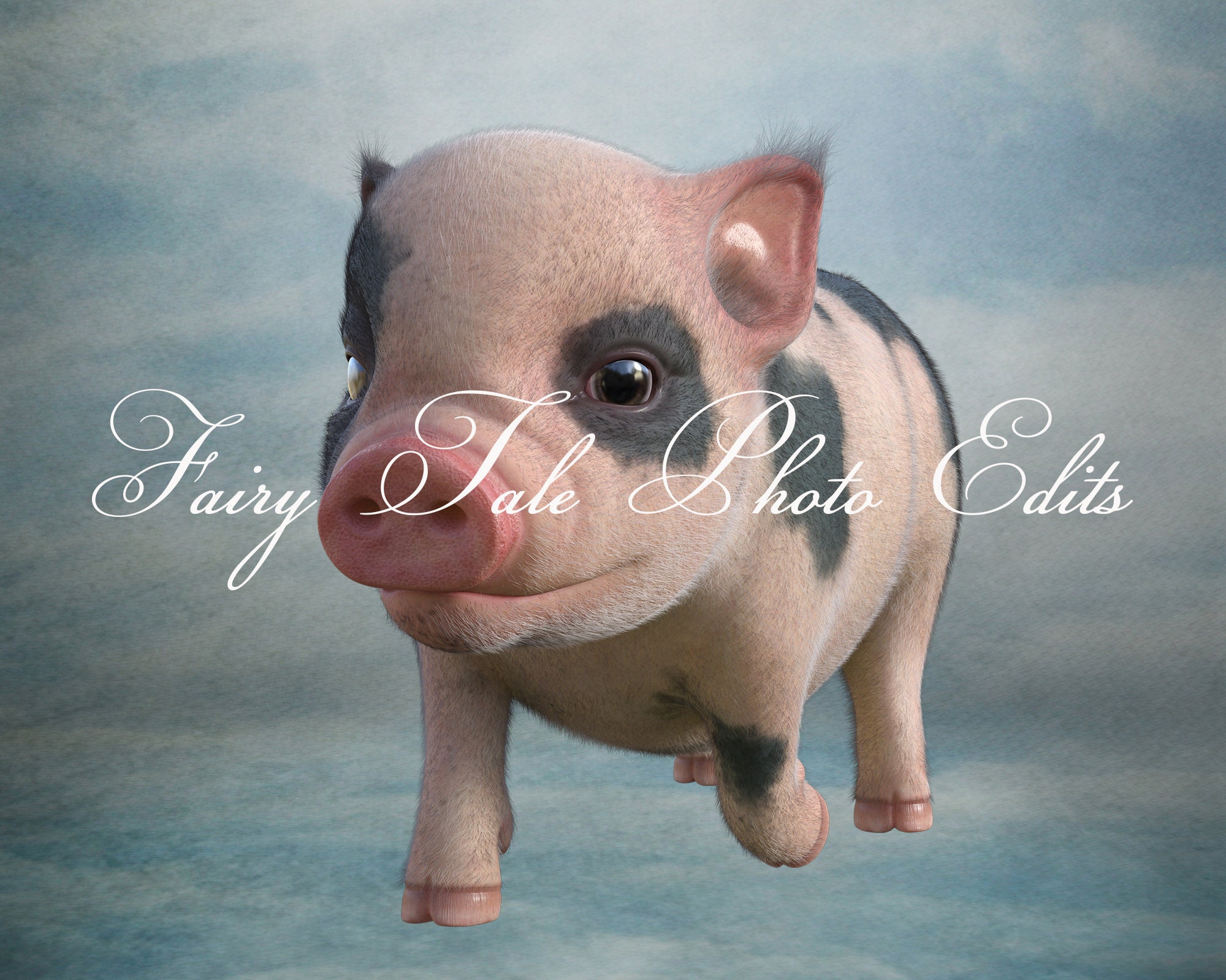Piglet Overlays Digital Overlays Photoshop Overlays Animal | Etsy