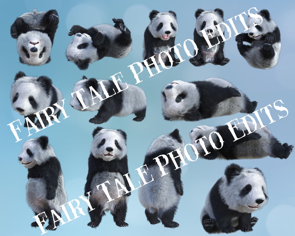 21 Panda Digital Overlays Panda Png's Panda Bears Panda - Etsy