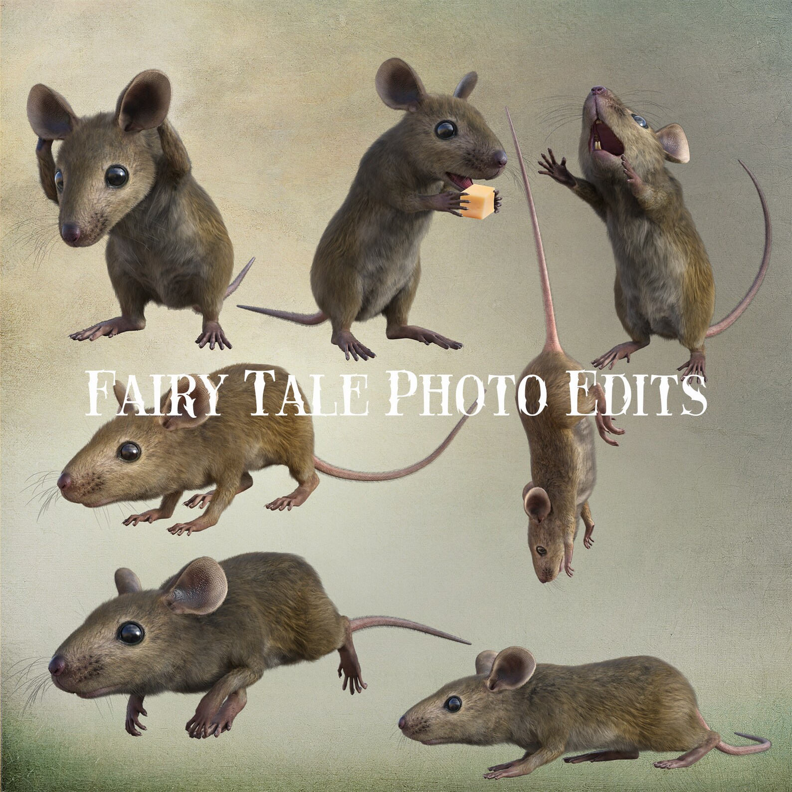 Mice Overlays Mice Png's Mouse Overlays Mouse Clip Art - Etsy