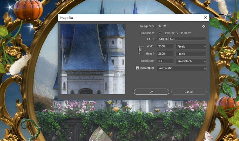 Cinderella Frame Digital Backdrop With Frame Overlay - Etsy UK