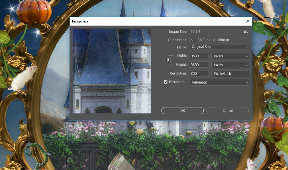 Cinderella Frame Digital Backdrop With Frame Overlay - Etsy UK