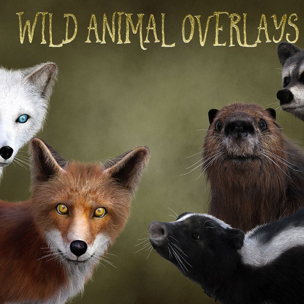 Animal Overlays - Etsy