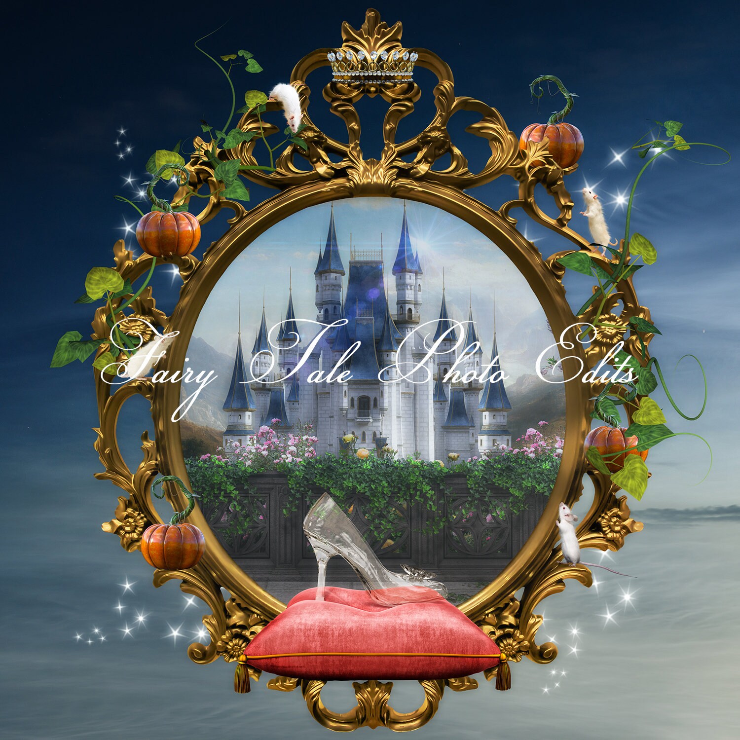 Cinderella Frame Digital Backdrop With Frame Overlay - Etsy UK