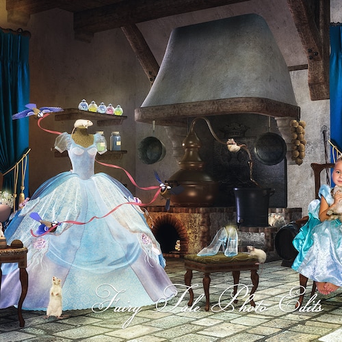 Cinderella's Cottage Kitchen Digital Backdrop Cinderella - Etsy