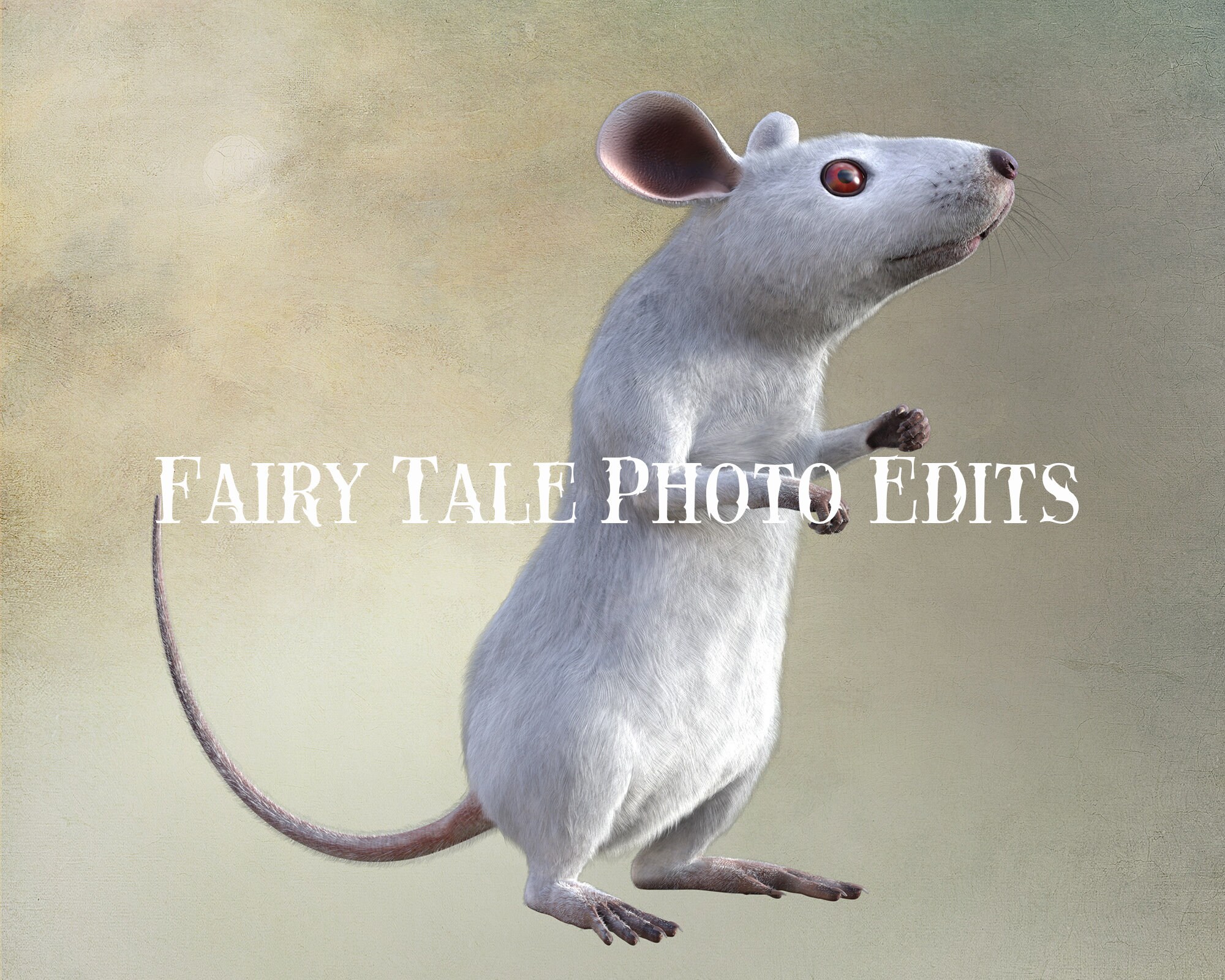 Mice Overlays Mice Png's Mouse Overlays Mouse Clip Art - Etsy Australia