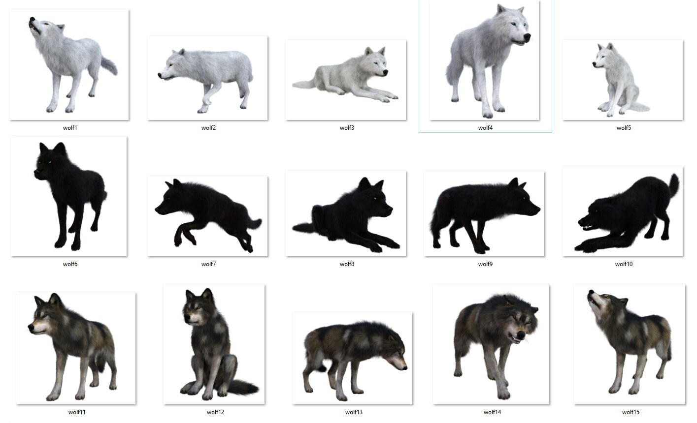 Wolves Digital Overlays/clip Art Wolf Overlay Wolf Clip Art | Etsy Canada