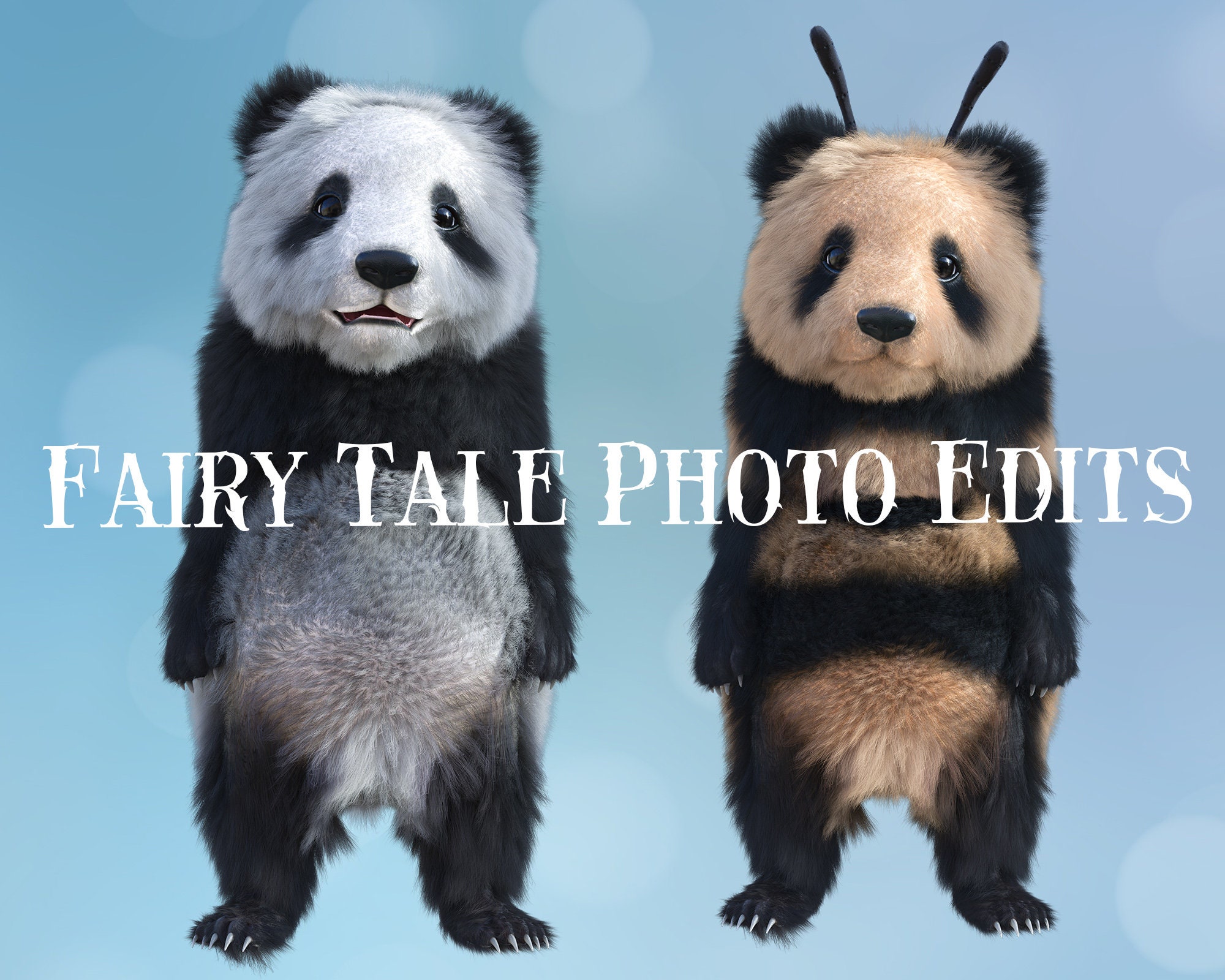 21 Panda Digital Overlays Panda Png's Panda Bears Panda - Etsy