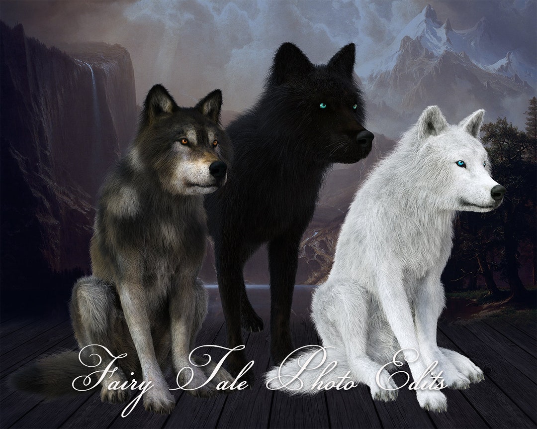 Wolves Digital Overlays/clip Art, Wolf Overlay, Wolf Clip Art, Wolves ...