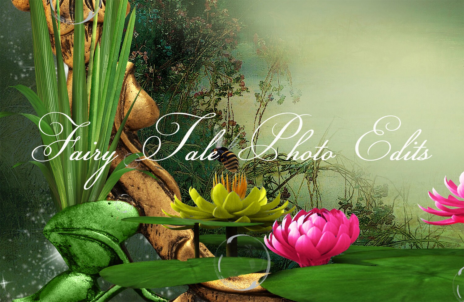 The Frog Prince Frame Digital Backdrop With Frame Overlay the - Etsy UK