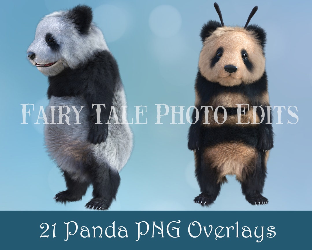 21 Panda Digital Overlays Panda Png's Panda Bears Panda - Etsy