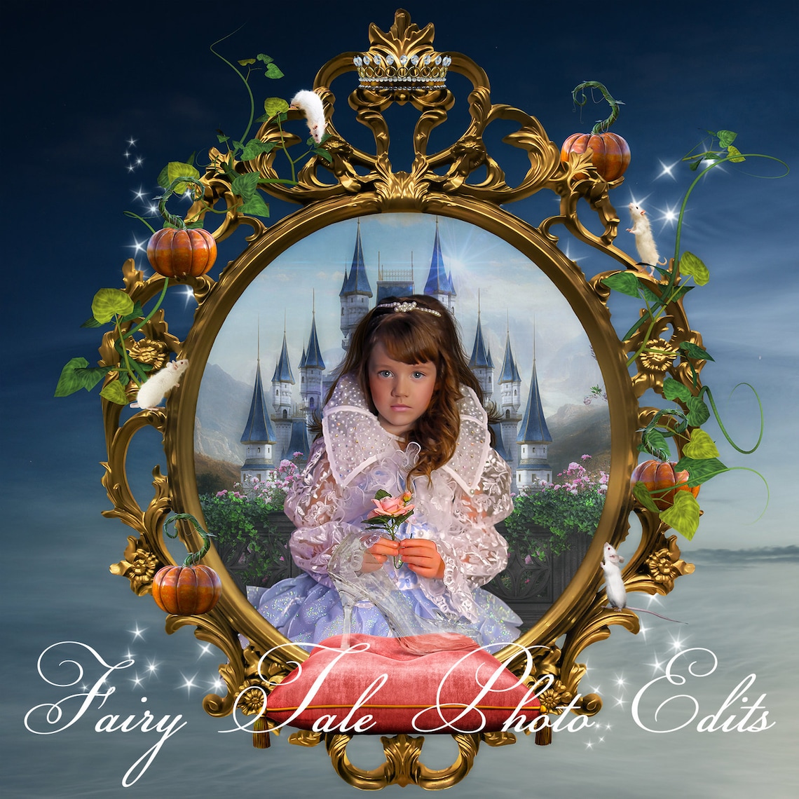 Cinderella Frame Digital Backdrop With Frame Overlay - Etsy UK