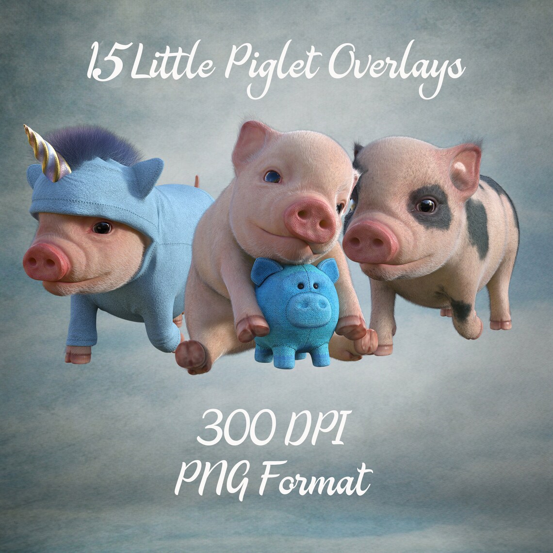Piglet Overlays Digital Overlays Photoshop Overlays Animal | Etsy