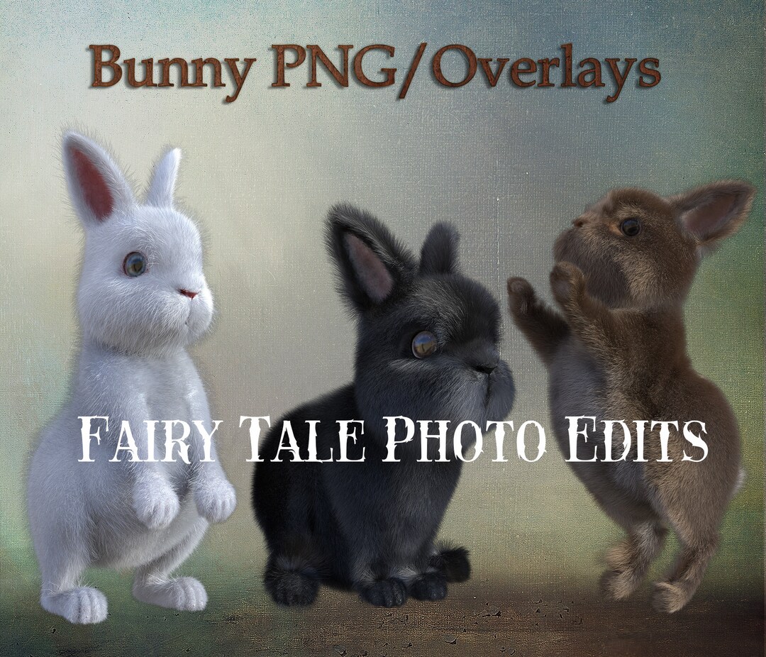 Bunny PNG Overlays, Rabbit Overlays 18 Bunny PNG'S, Digital Overlays ...
