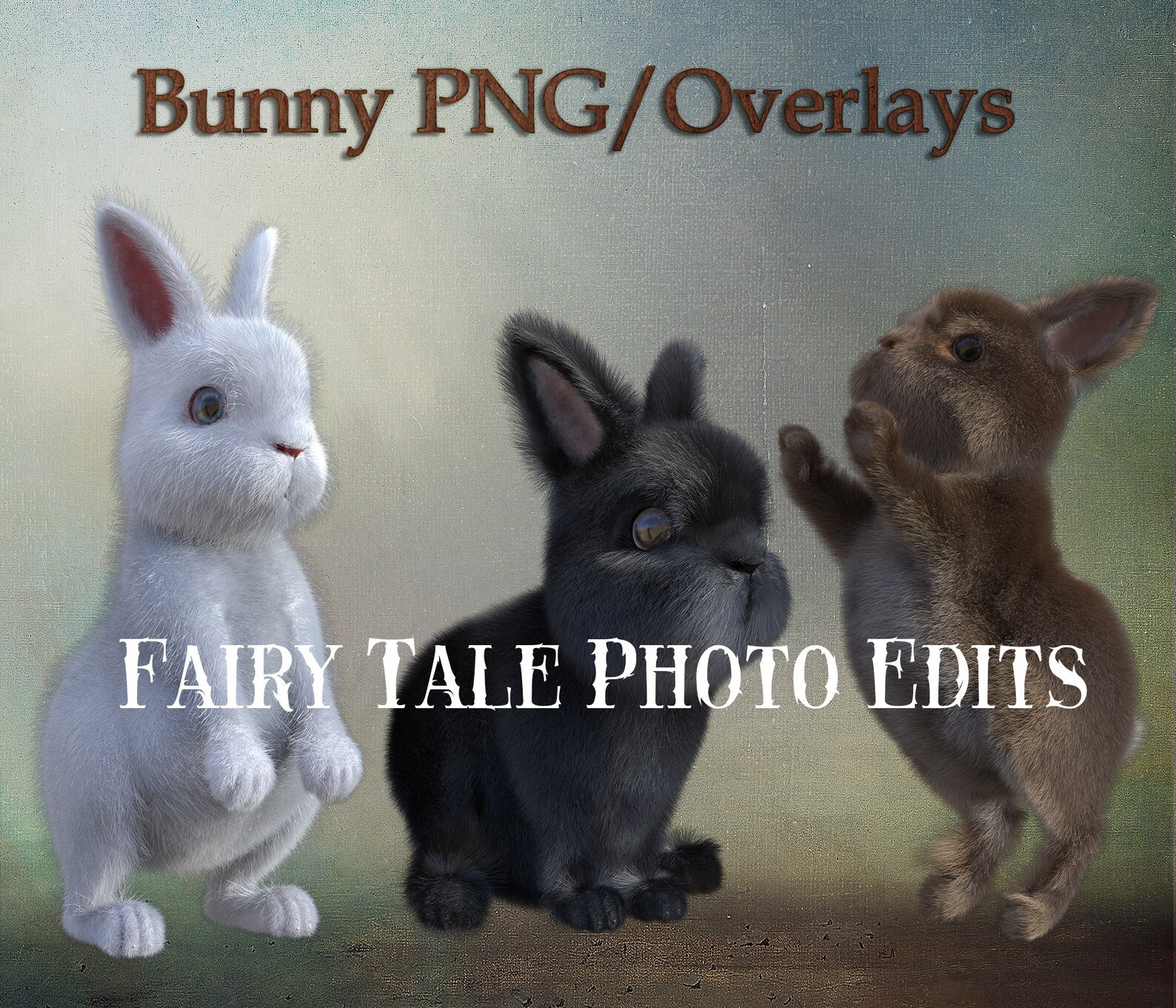 Bunny PNG Overlays Rabbit Overlays 18 Bunny PNG'S | Etsy UK