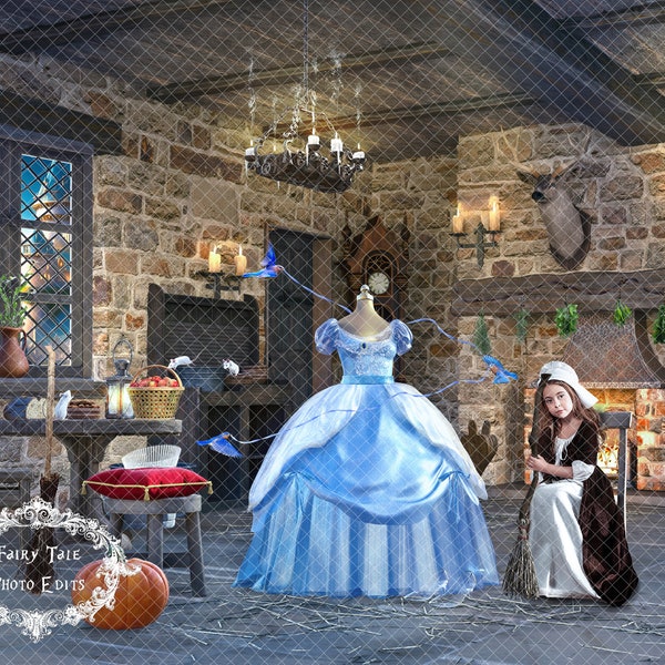 Cinderella Backdrop - Etsy