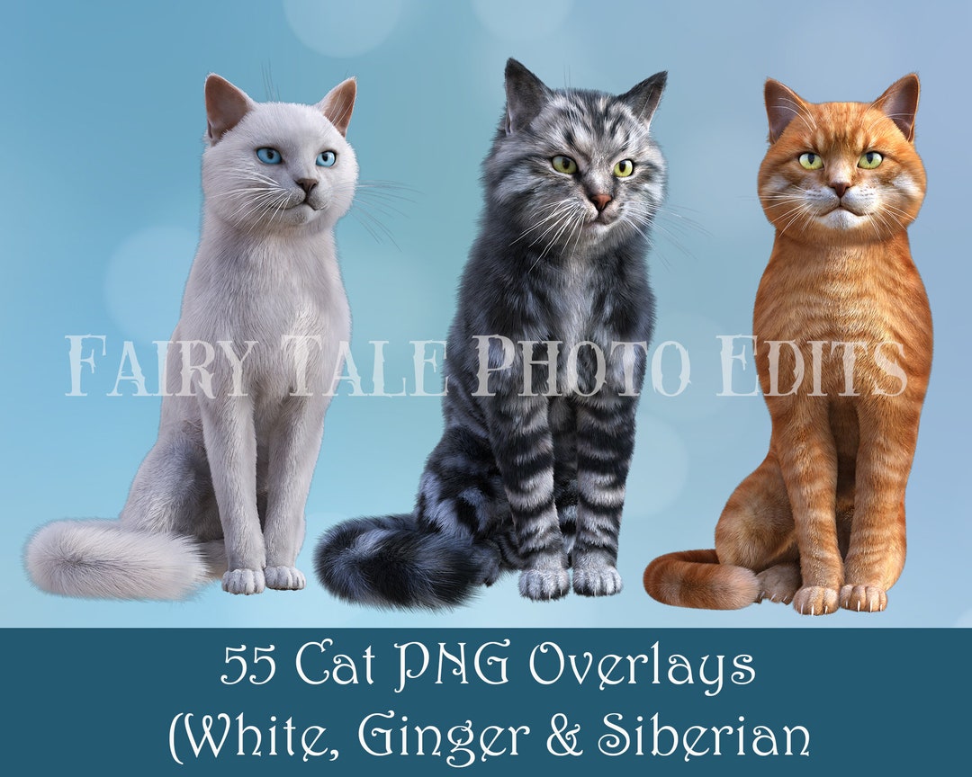 55 Cat Digital Overlays, Cat Png's Cat Clip Art, Animal Overlays ...
