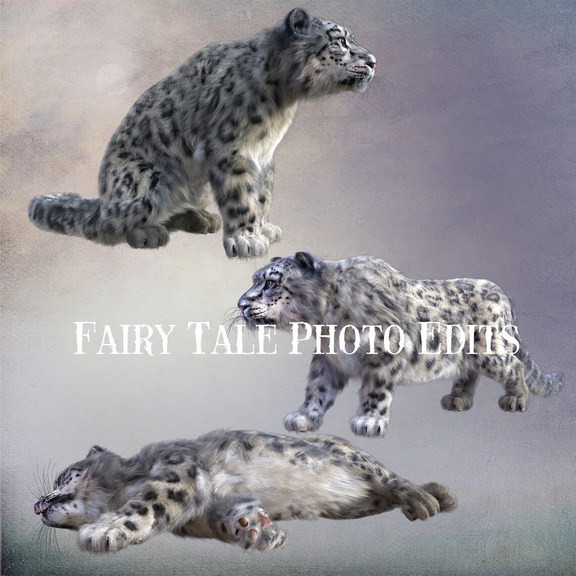 Snow Leopard Overlays Snow Leopard Png's Snow Leopard - Etsy