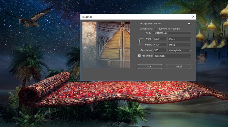 Magic Carpet Princess Jasmine Digital Backdrop Flying | Etsy UK
